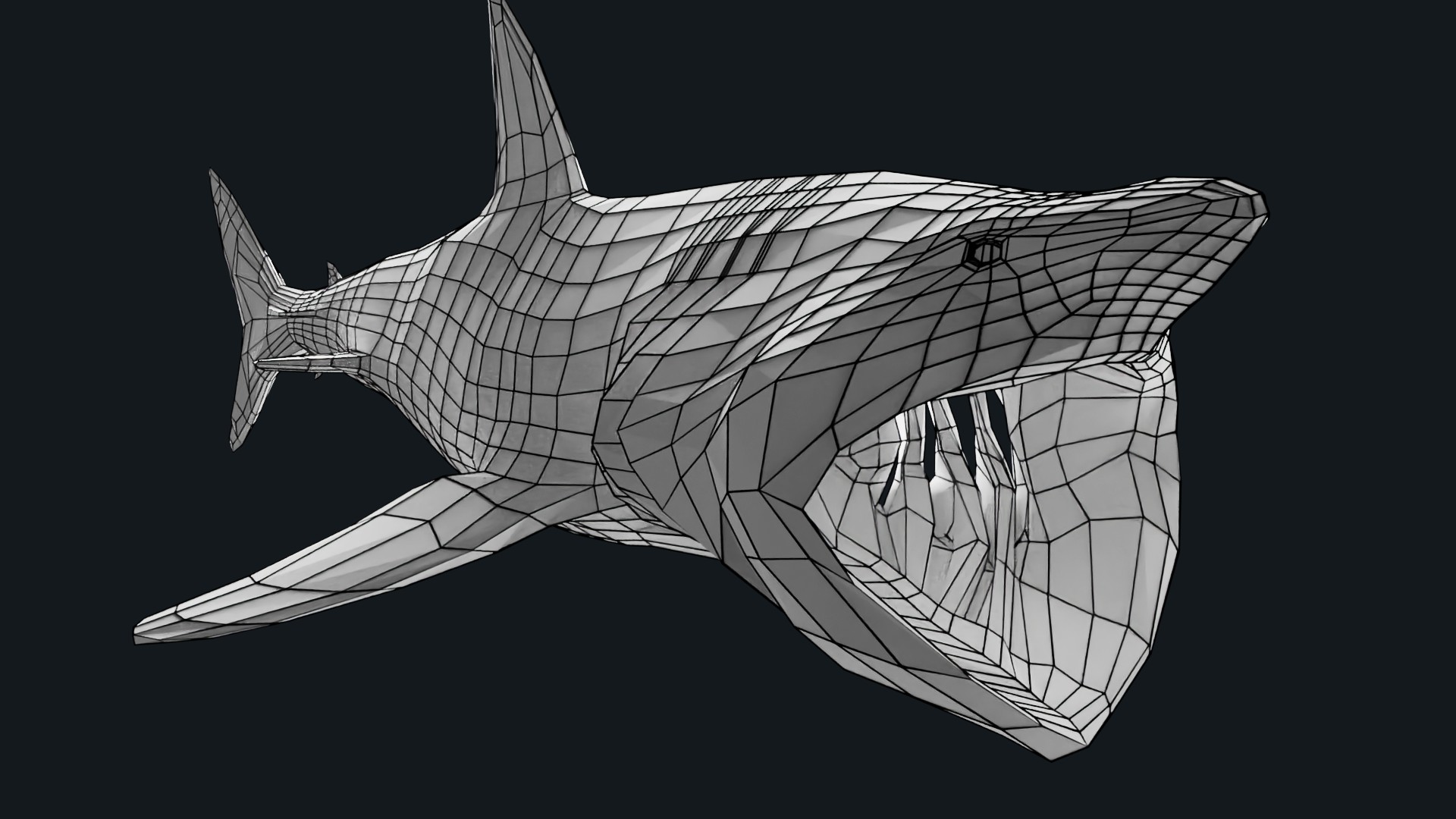 Basking Shark Base Mesh - Blender Market