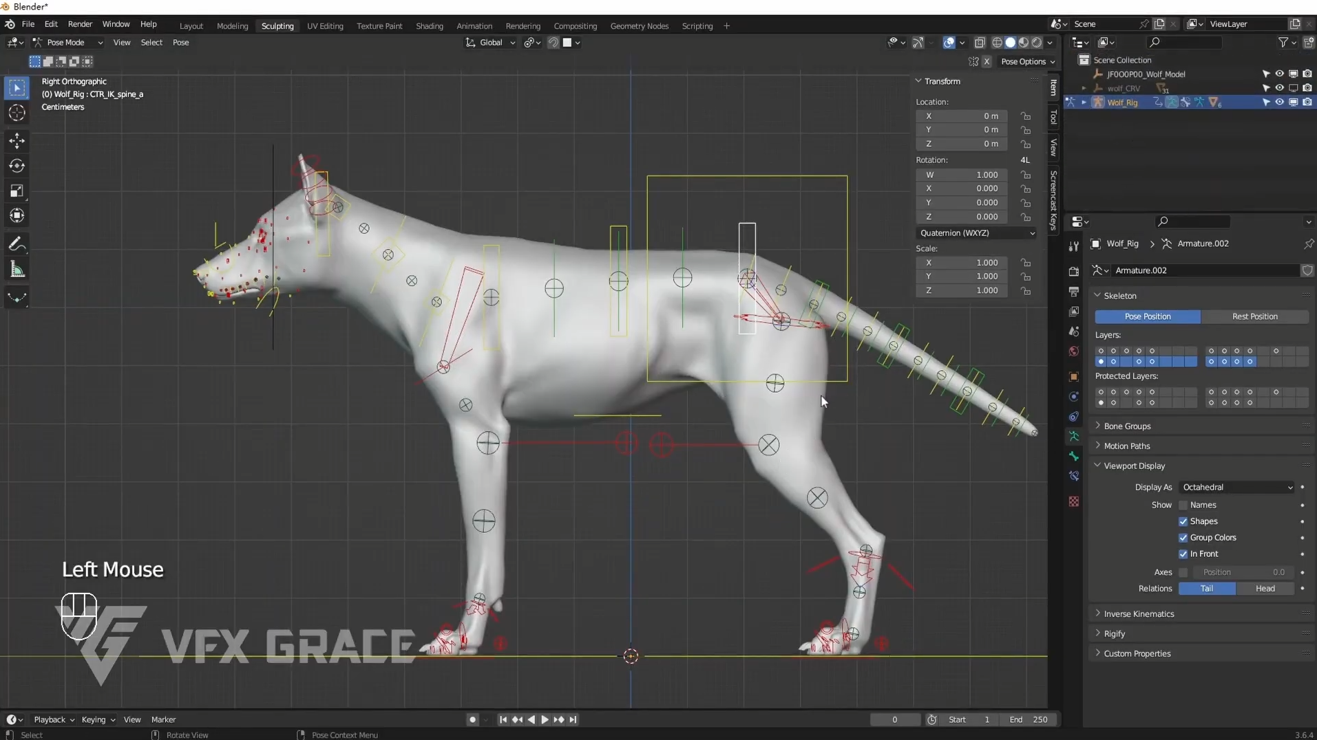 Blender Advanced Rigging Case Study - 3D Character Eurasian Wolf ...