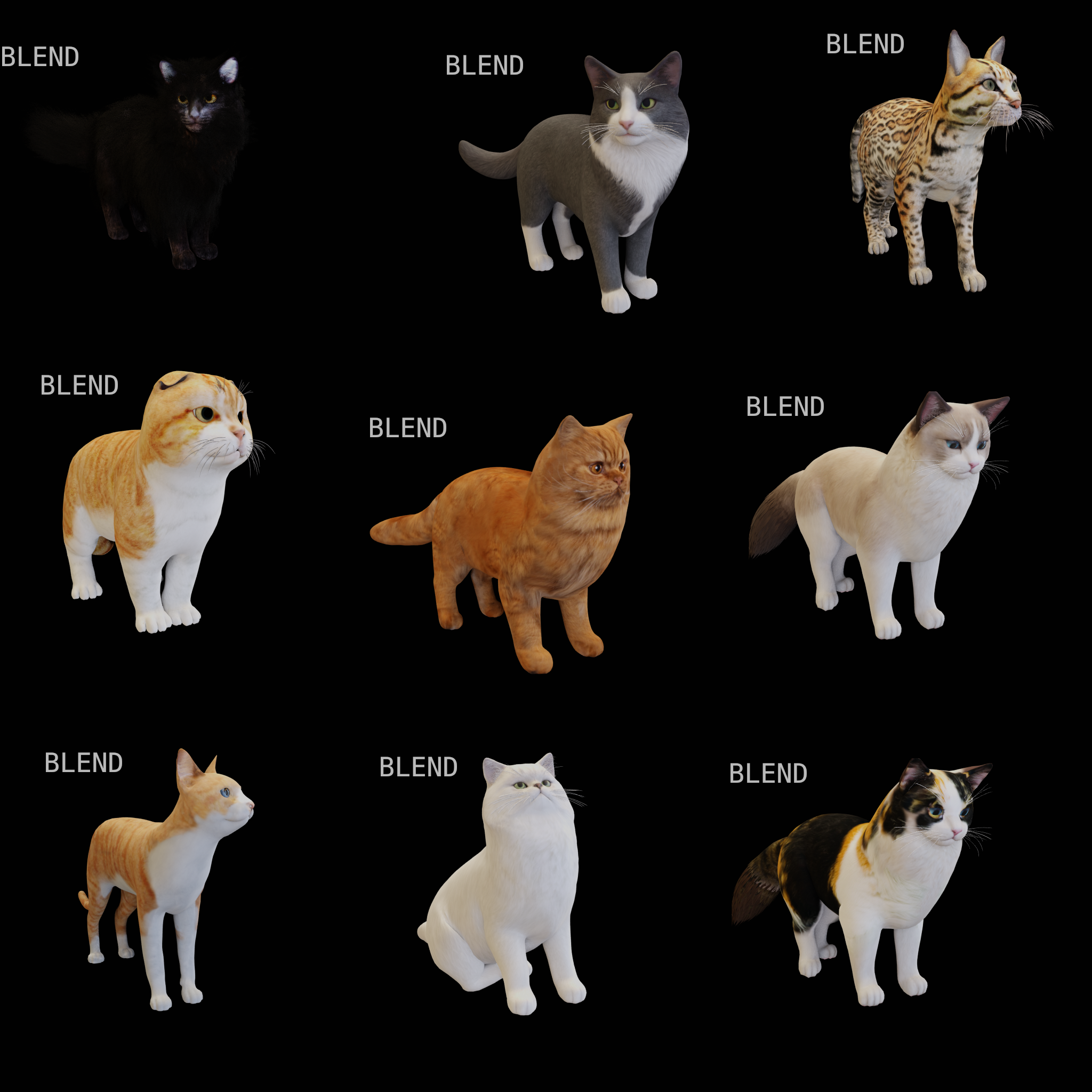Fox Cat Breed