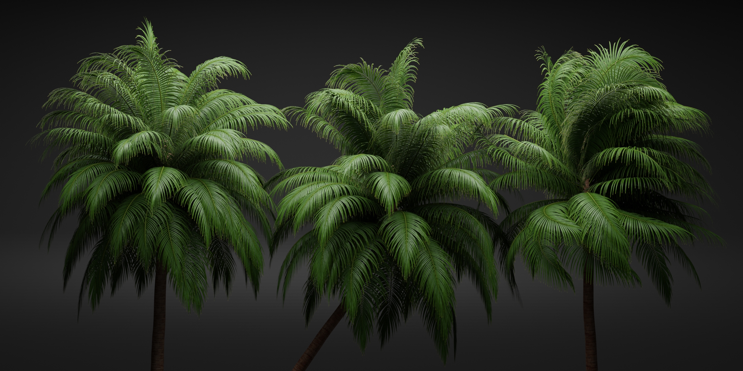 Palm trees collection 195-Blender-3dmodel - Blender Market