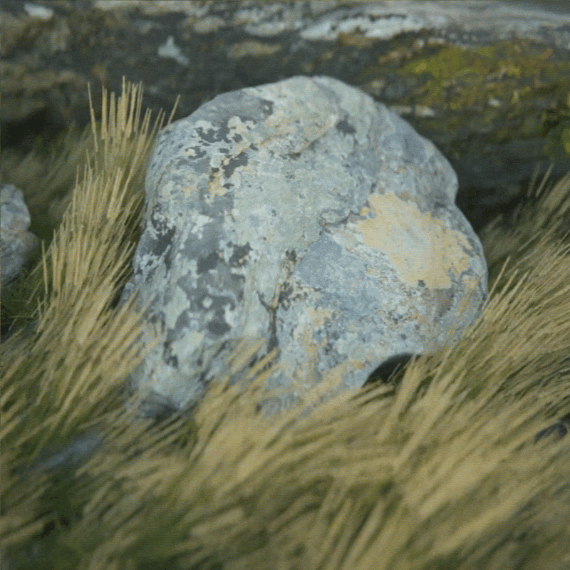 Physical Grass Scatter And Draw: Next gen Simulation | BlenderNation Bazaar